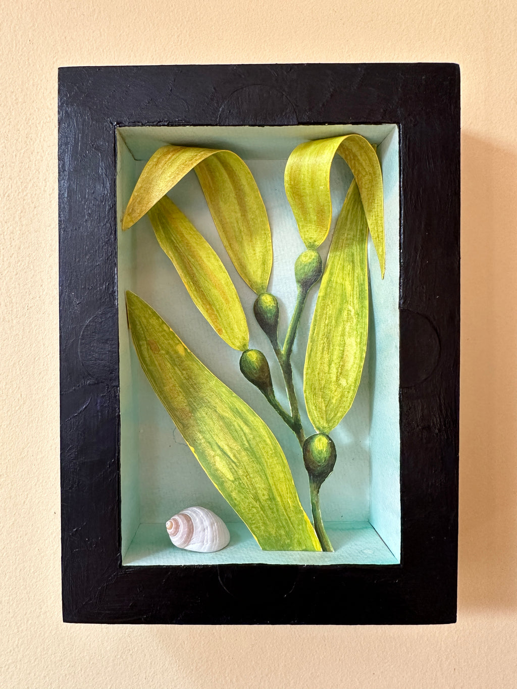 Seaweed Study #2 – gallery b